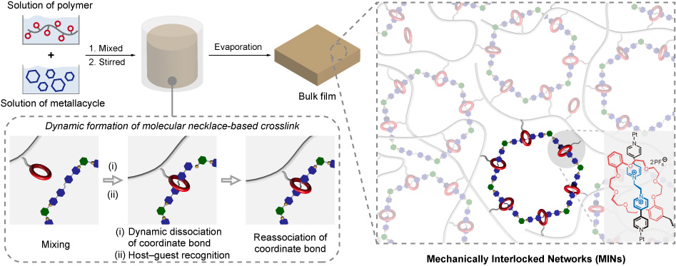 Yan Research Group 颜徐州课题组